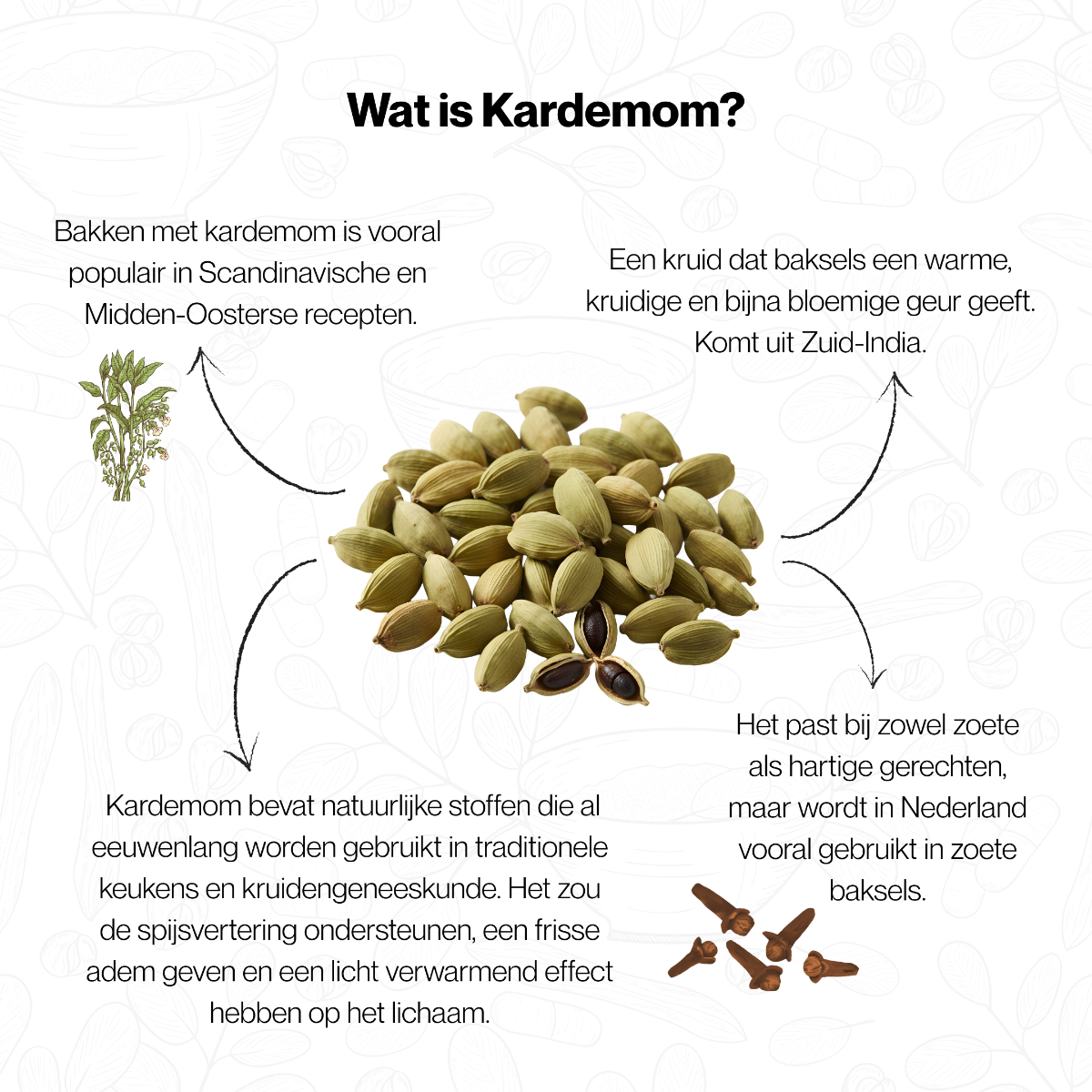 Wat is kardemom en hoe gebruik je het in de keuken?